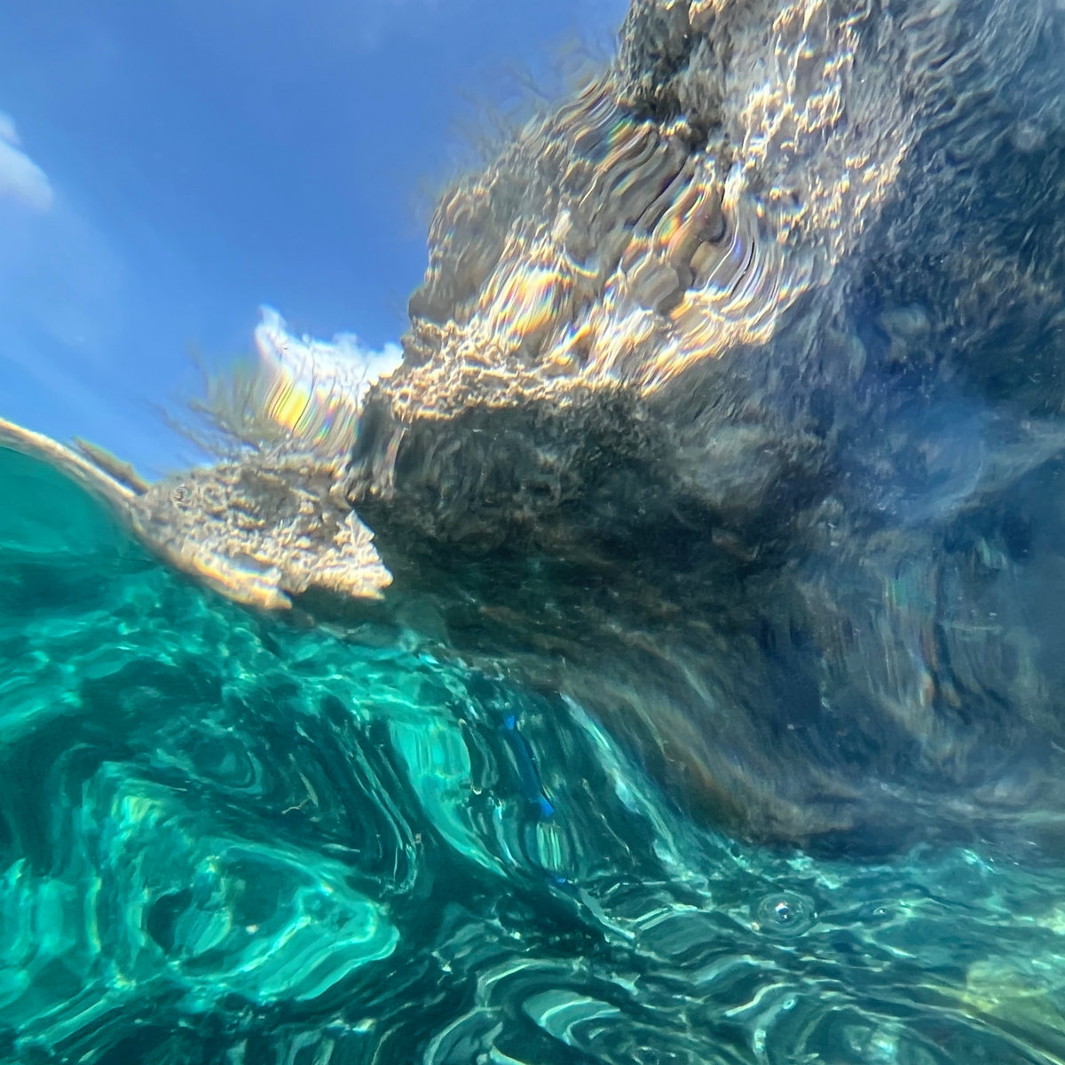 Who Kidnaps Who? | Tyler Baum