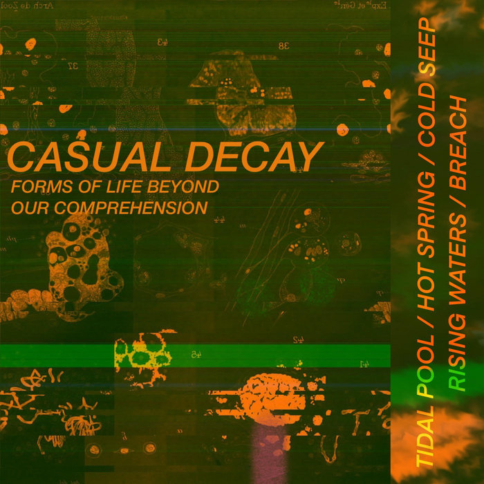 Forms of Life Beyond Our Comprehension | Casual Decay