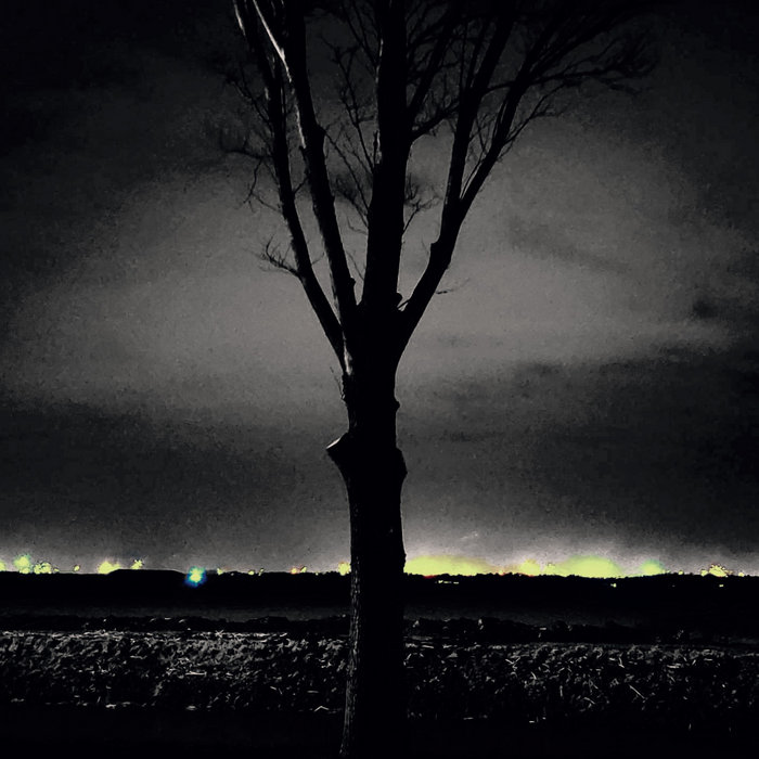 The sky is ours | The Wounded