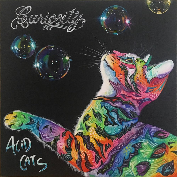 Curiosity | Acid Cats
