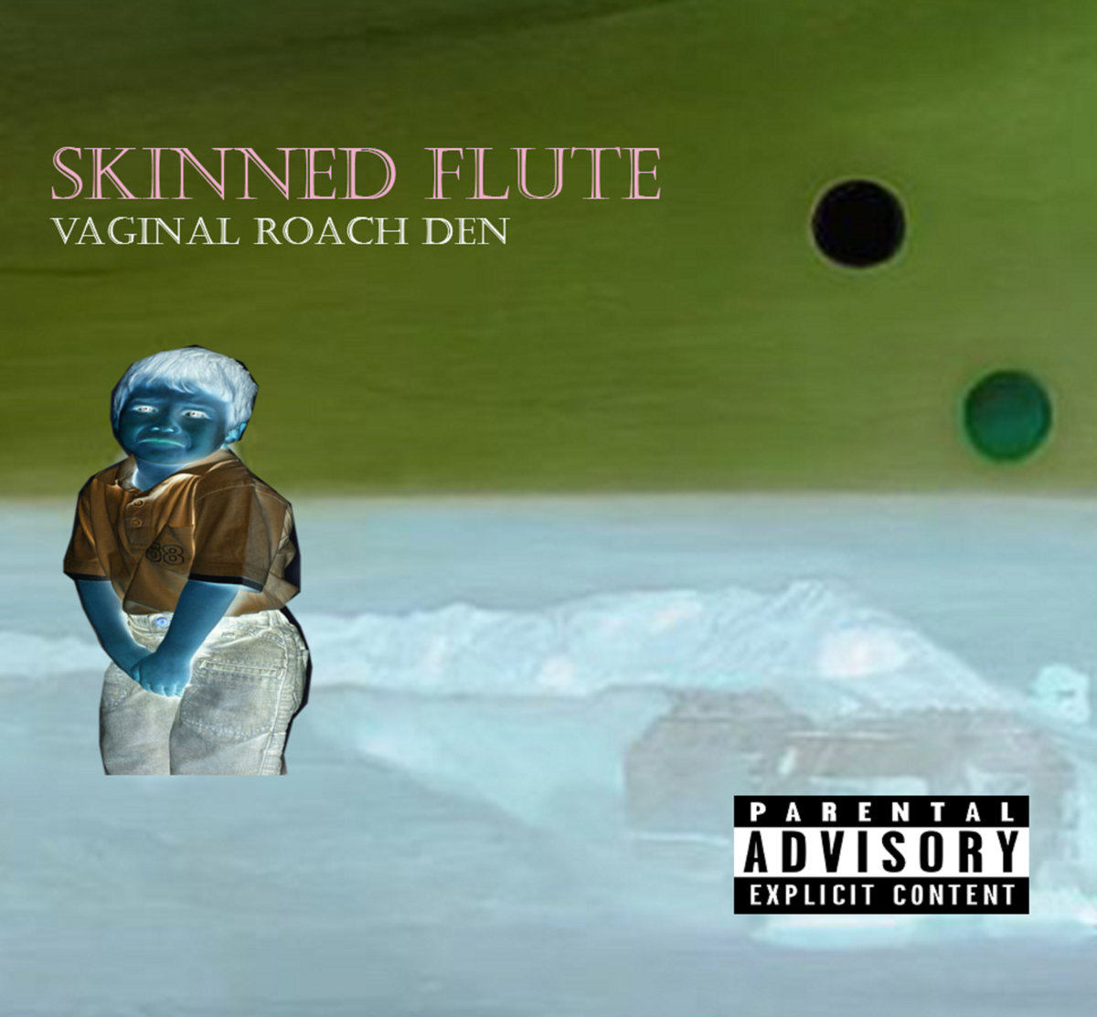 Vaginal Roach Den EP | Skinned Flute