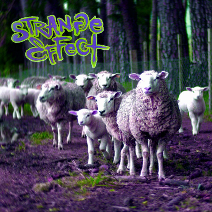 Sheep | Strange Effect