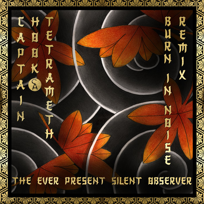 The Ever Present Silent Observer (Burn in Noise Remix) | Captain Hook & Tetrameth (Iboga Records ...