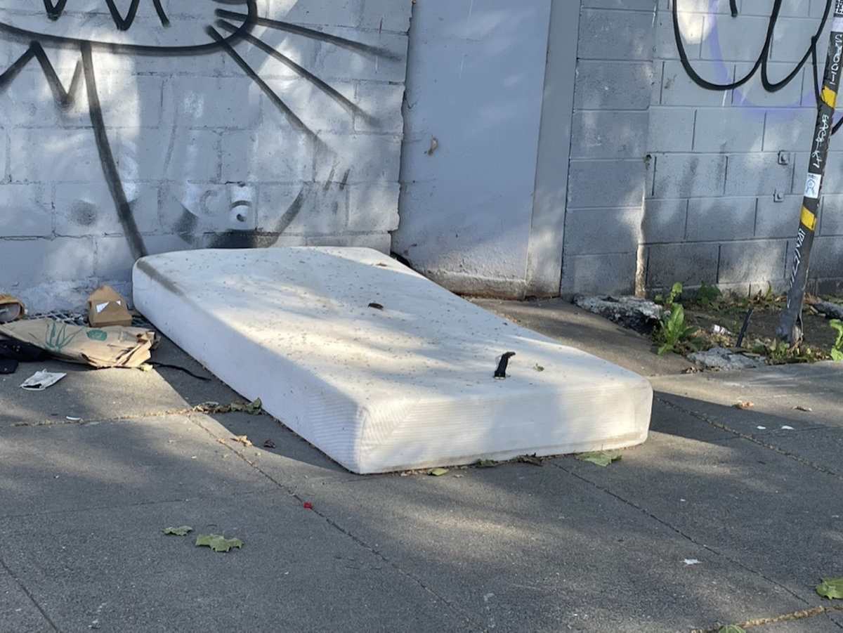 LIVE AT BILL'S BROTHER'S PLACE | NOTHING MATTRESS