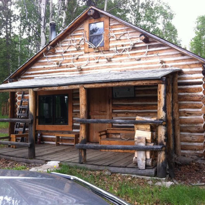 Pine Log Cabin | Tommy Willis