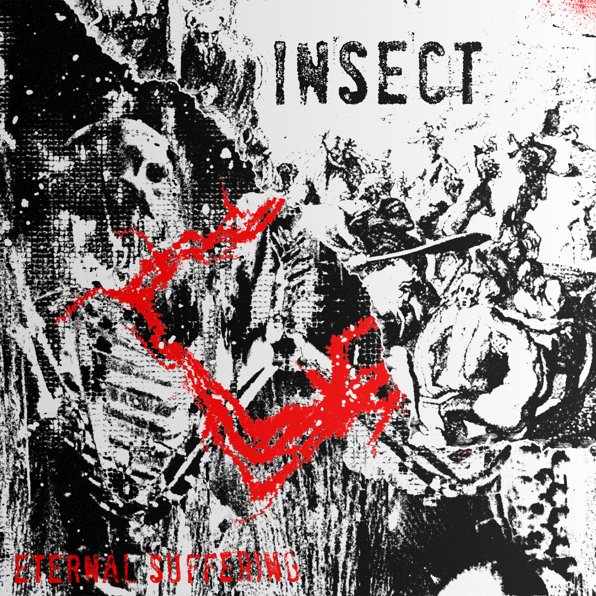 INSECT - ETERNAL SUFFERING | INSECT | PURE HATE
