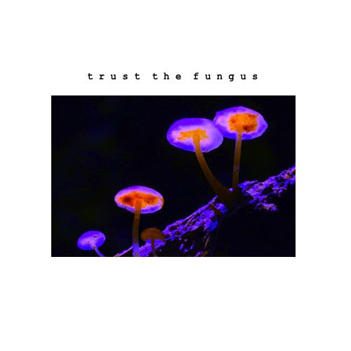 PRIMORDIAL SLUDGE DEMO | TRUST THE FUNGUS