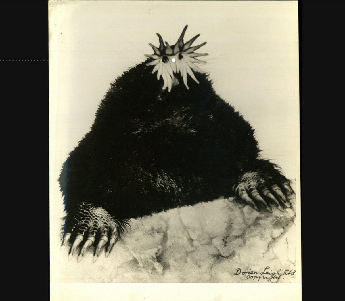 All Hail Subterania / Horror At Party Beach | The Subterranean Mole Men