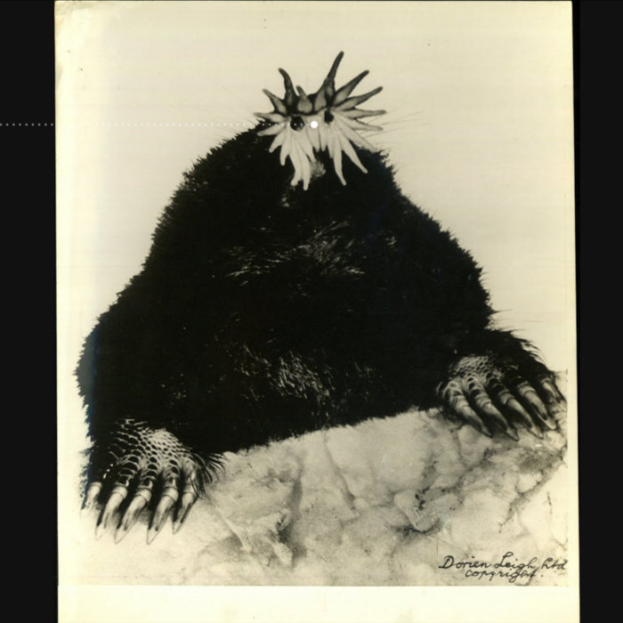 All Hail Subterania / Horror At Party Beach | The Subterranean Mole Men