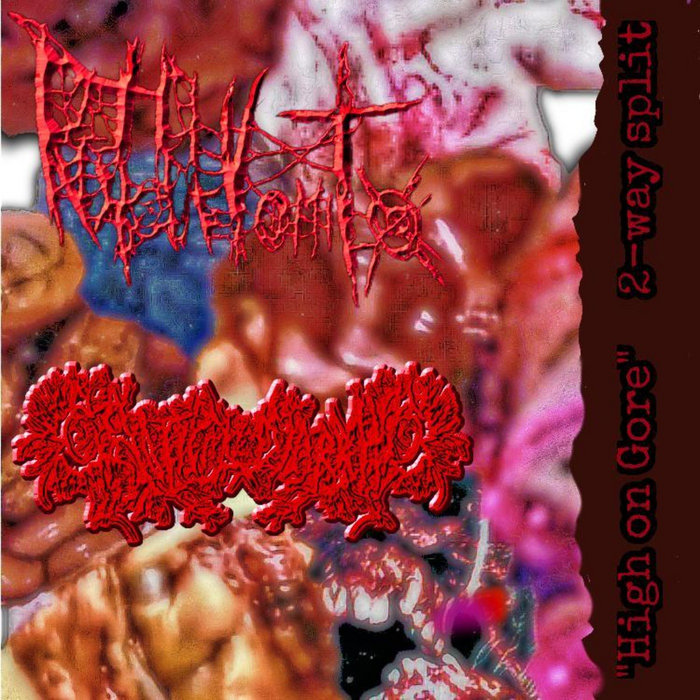 High on gore [Split with Critical diarrhea] | Resto de vomito