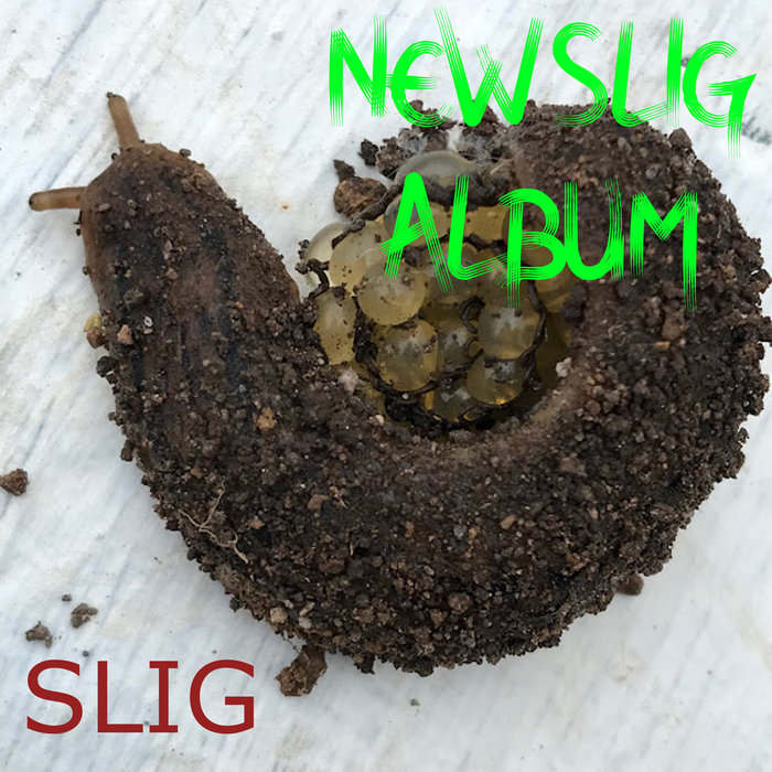 NEW SLIG ALBUM | Slig