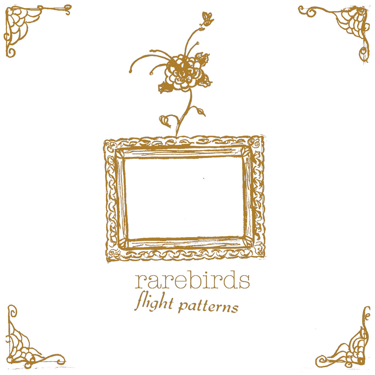 Flight Patterns | Rarebirds