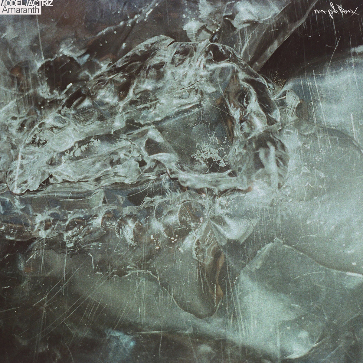 Amaranth (mmph Remix) | Model/Actriz