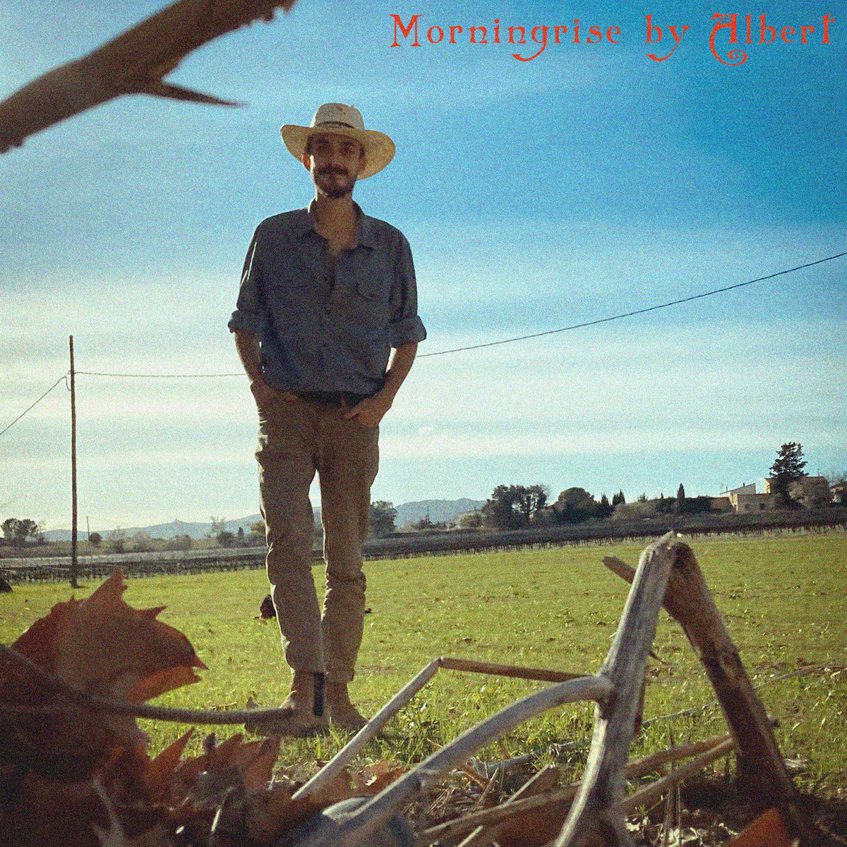 Morningrise | Albert Freeman