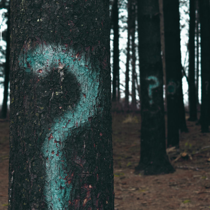 The Unheimlich Kingdom | Psychic Lemon