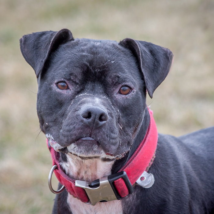 Drum Verb Samples | Rob Loyst