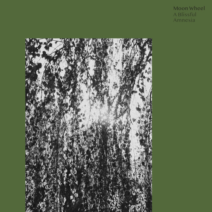A Blissful Amnesia | Moon Wheel
