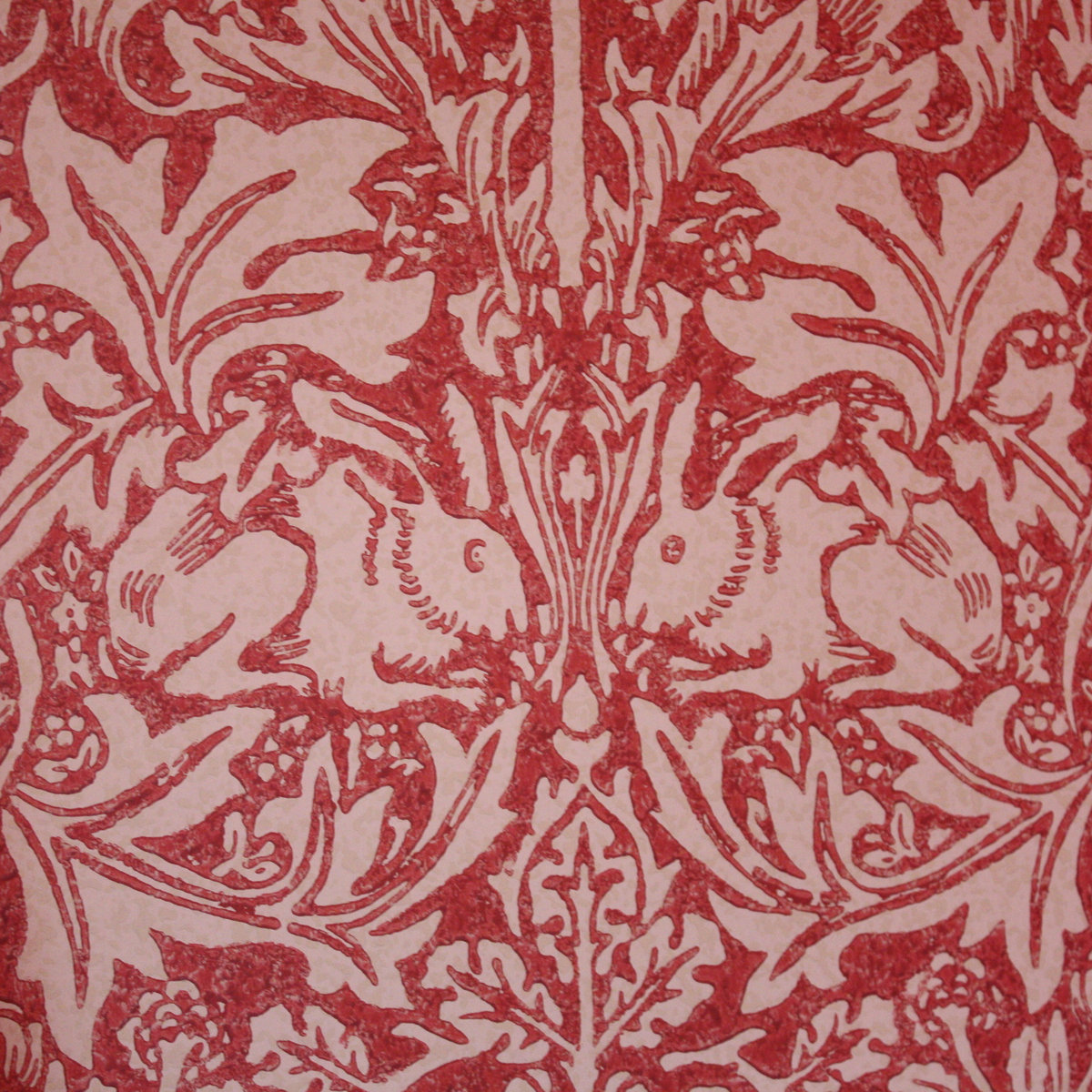 Types | Nuno Alexandre | Nuno