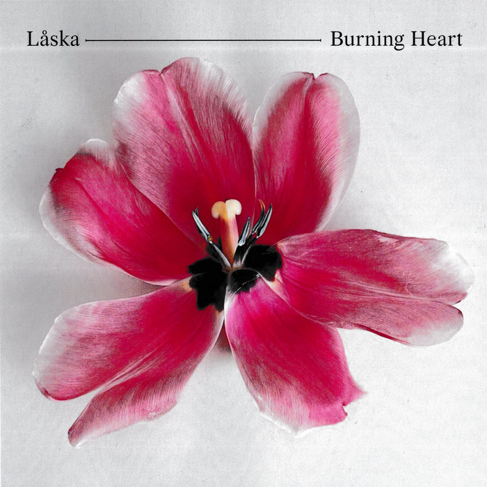 Burning Heart | Låska | Magnetic Poetry