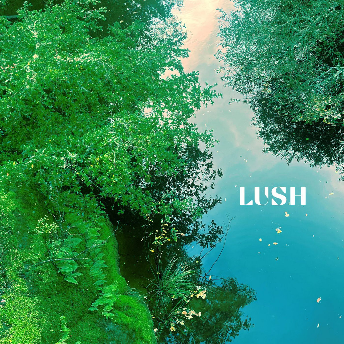Lush | Lis Addison, Kate Foster | Lis Addison