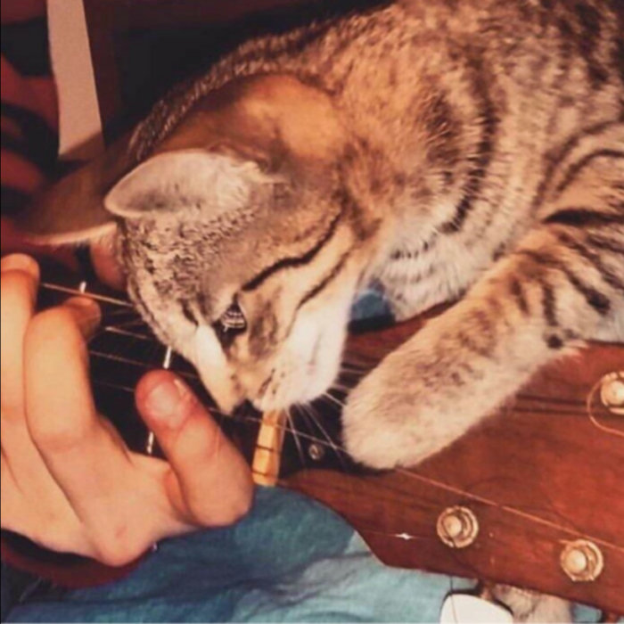 ANIMA | there are ghosts