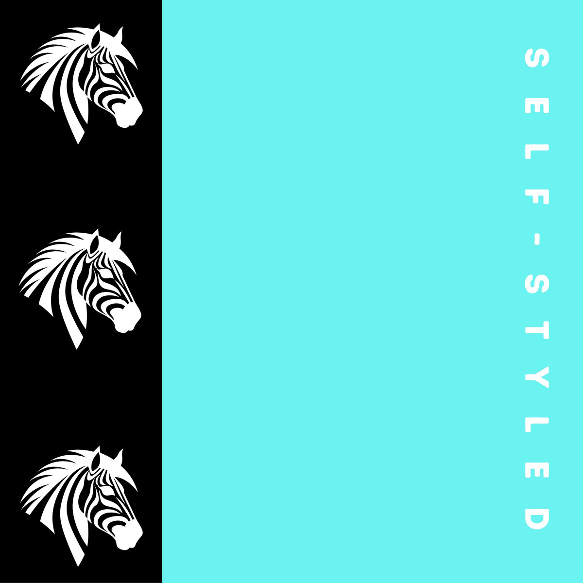 Poster Boy | Self-Styled