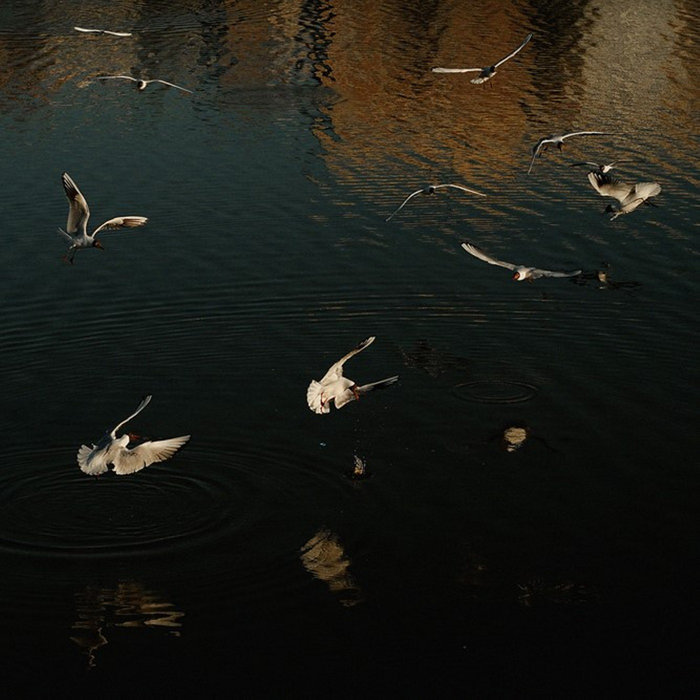 Fluid II | Anthony Harmitage | brokentaperecords