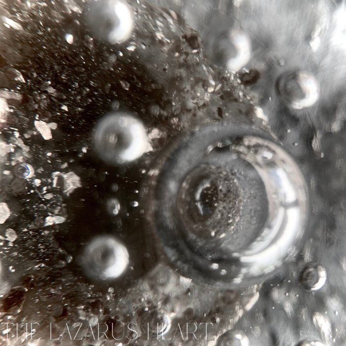 The Lazarus Heart | Rob Northcott