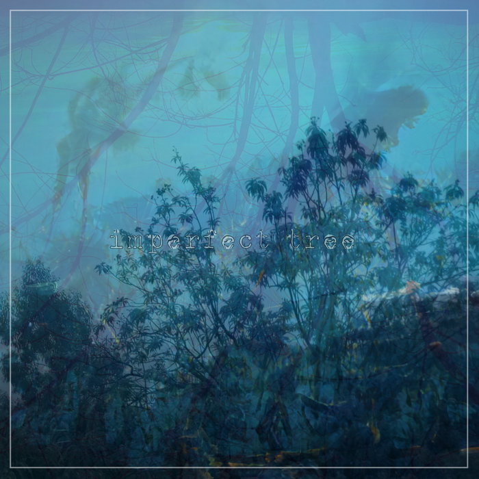 Rudimentary Saplings & Flawed Plants - The Unedited Demos | Imperfect Tree