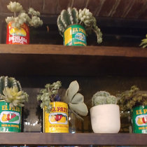 Subscribe to kevin drumm | kevin drumm