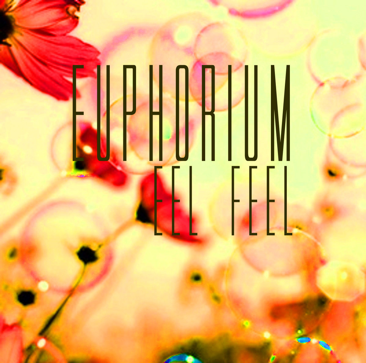 Euphorium | eel feel