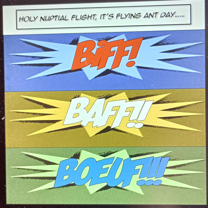 BIFF! BAFF!! BOEUF!!! | Flying Ant Day