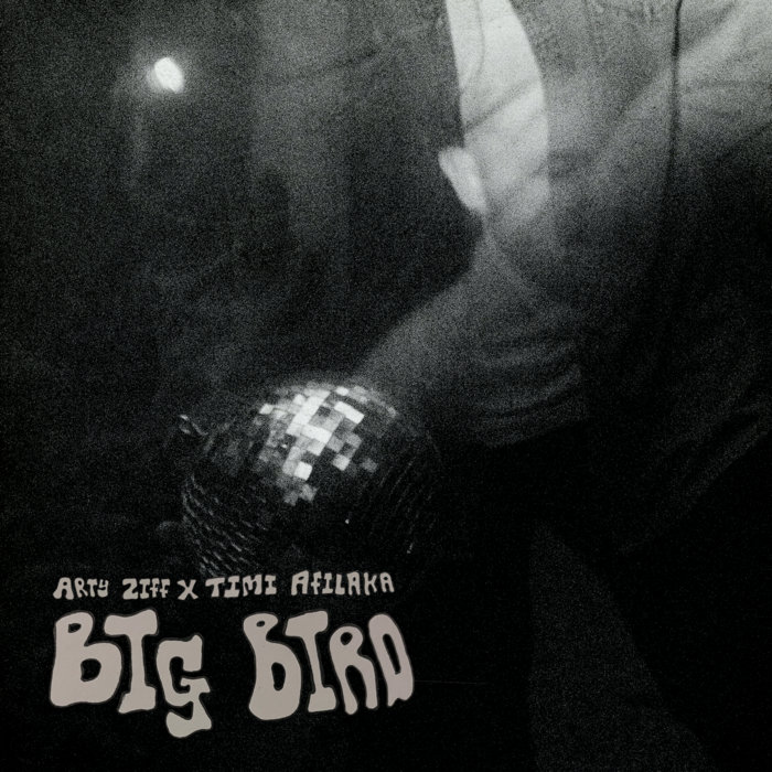 Big Bird (ft. Timi Afilaka) | Arty Ziff