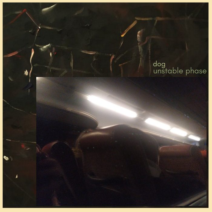 unstable phase | dog