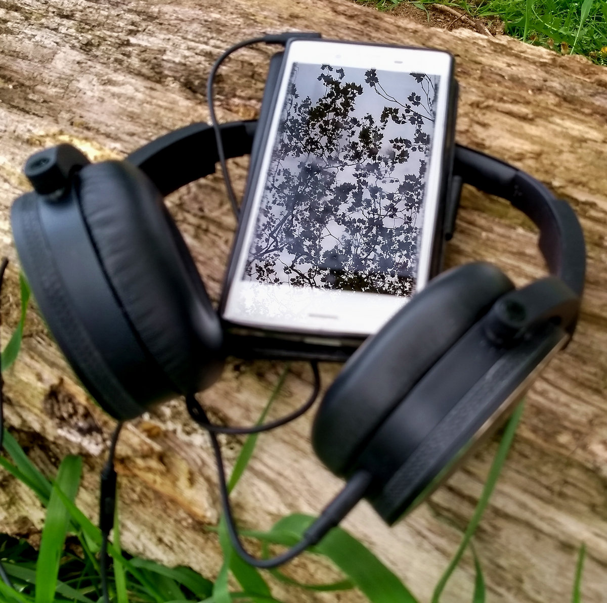 Spring Collection | Sharon Stiles (Mind Blocks Sorted)