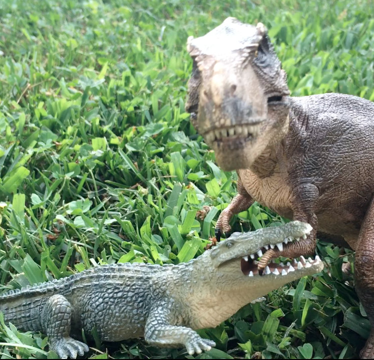 Dinosaur Crocodile | Dinosaur Crocodile
