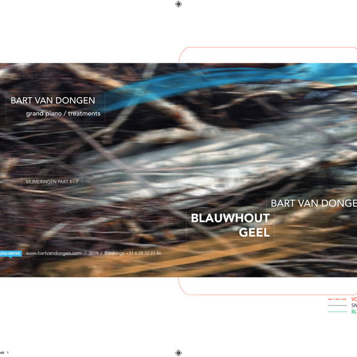 BlauwHout Geel solo | Bart van Dongen