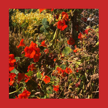 Music | The Reds, Pinks & Purples