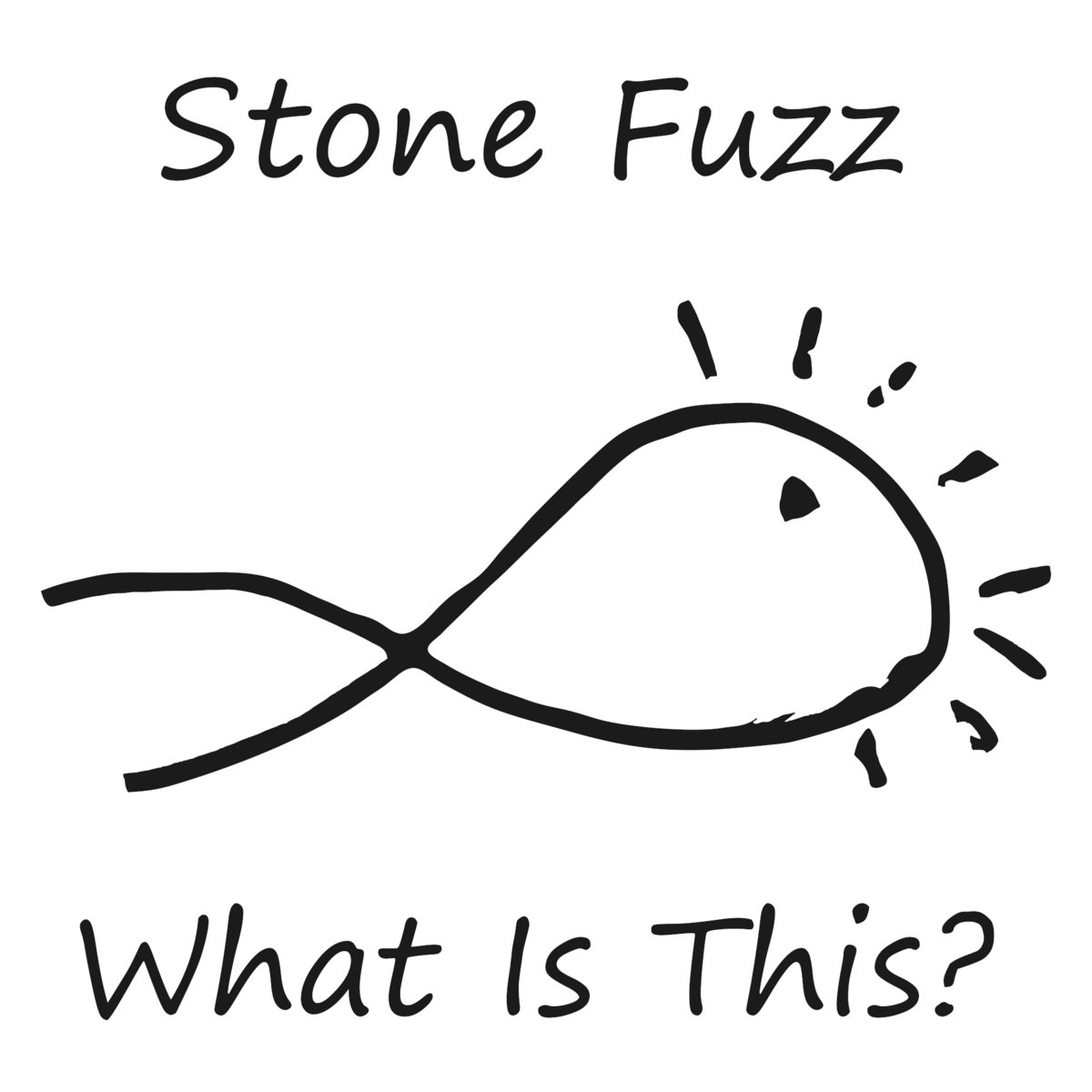 What Is This? | Stone Fuzz