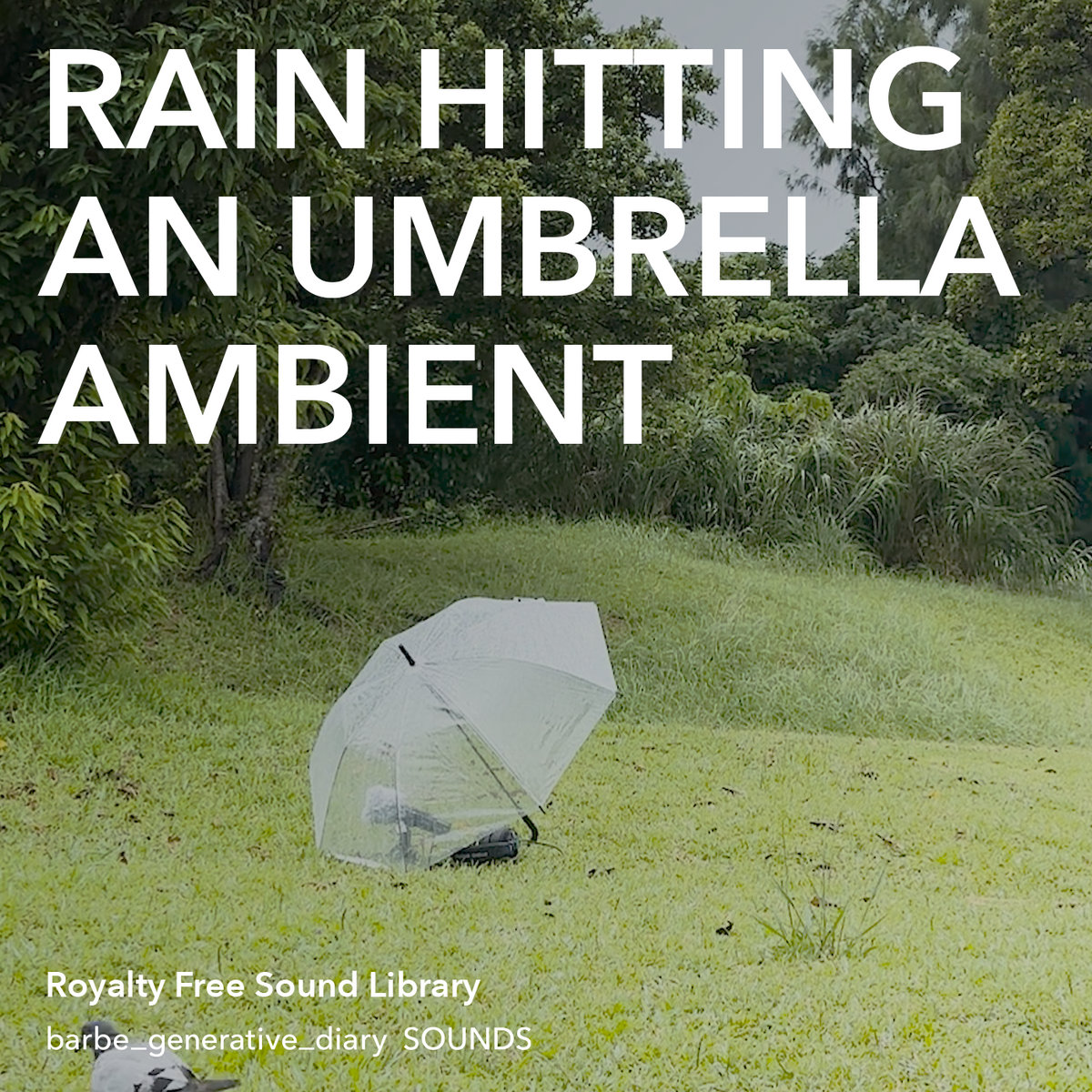 Rain Hitting an Umbrella Sound Library | barbe_generative_dairy | barbe ...