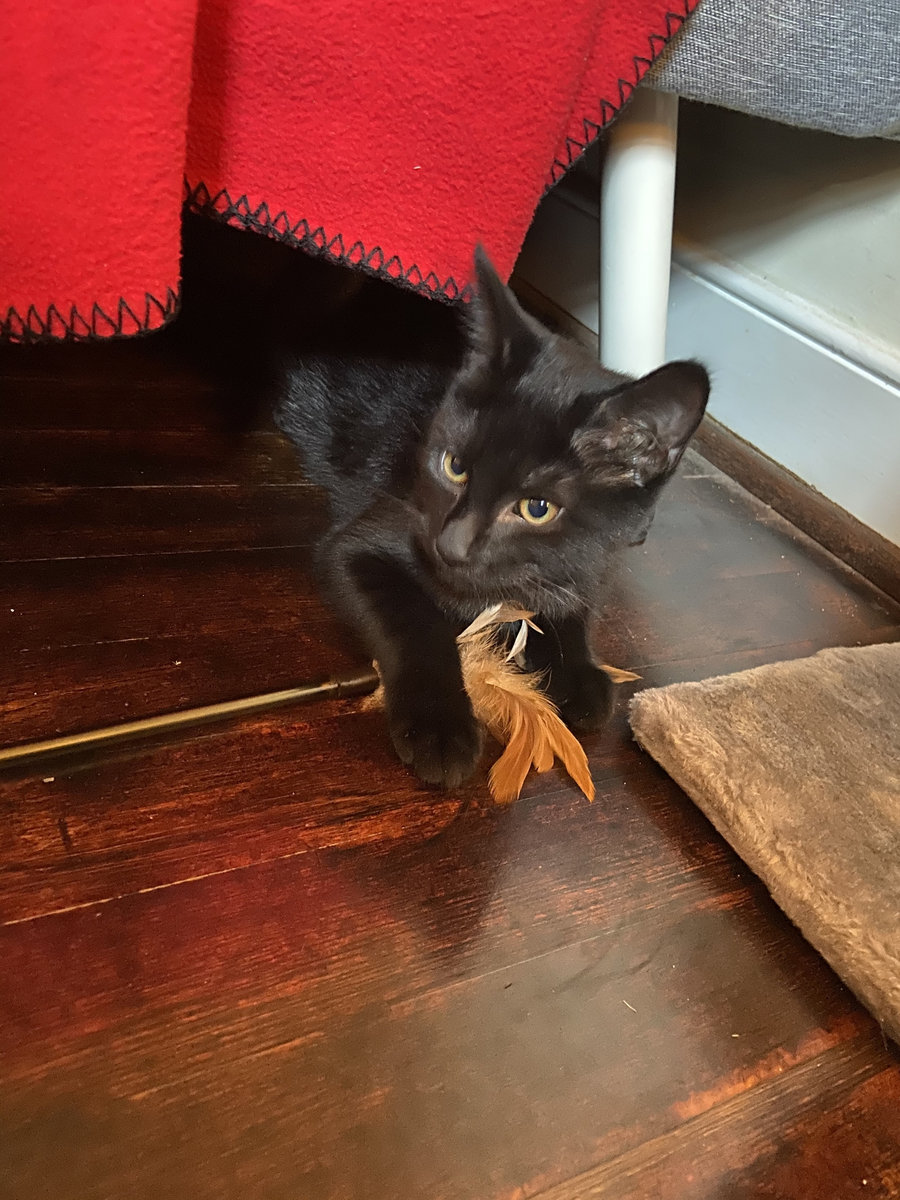 covers | Bright Chemicals