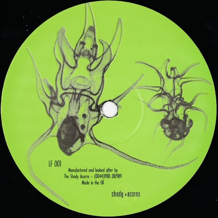 Mark Ambrose - Lifeforms bongo | mark ambrose