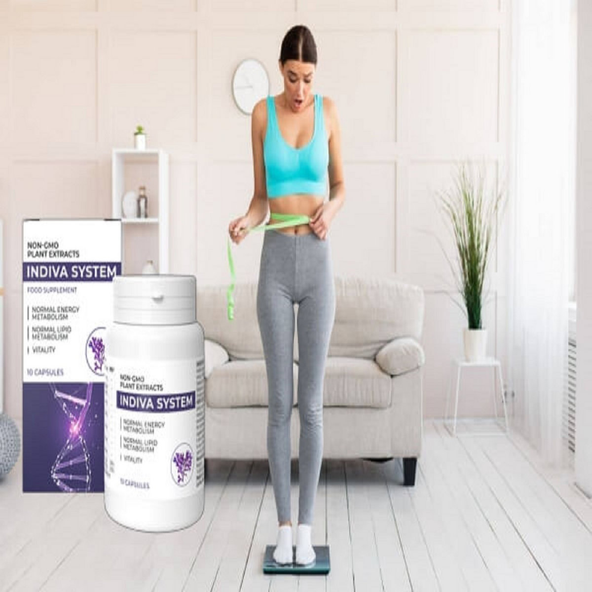 Indiva System | indivasystem