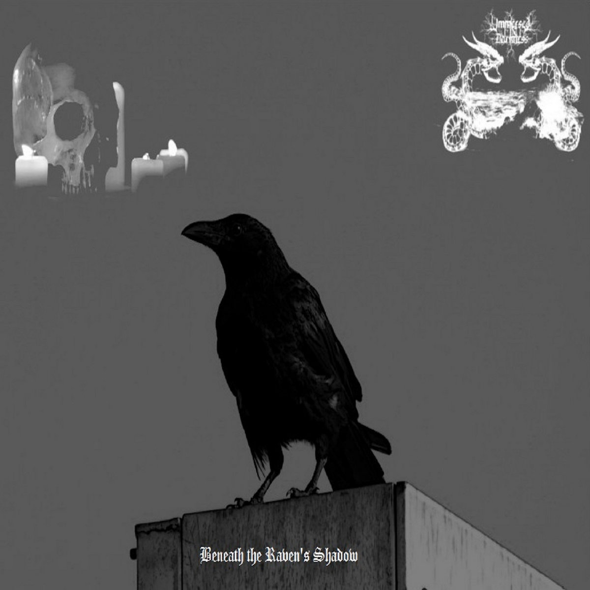 Beneath The Raven's Shadow | Immersed in Darkness