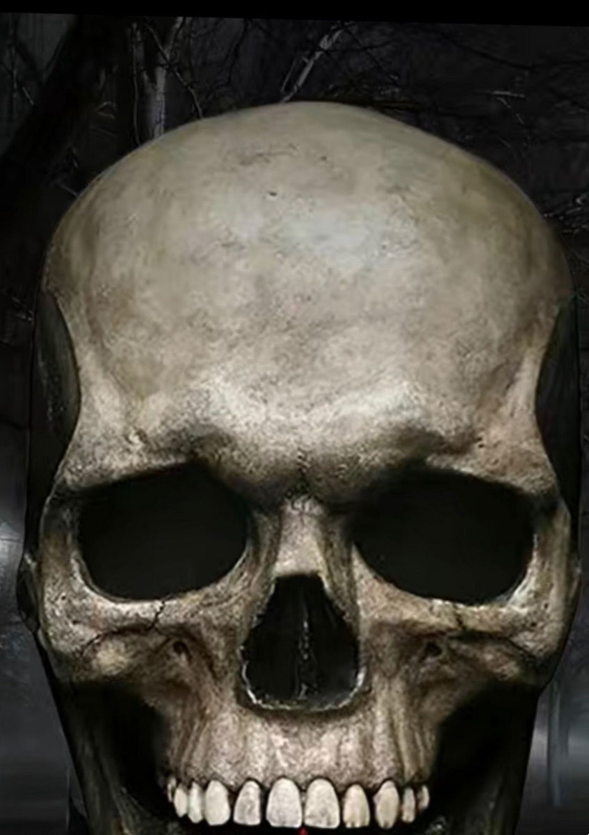 the Rabbit Hole | New Funk Era | bernard van webb/new funk era