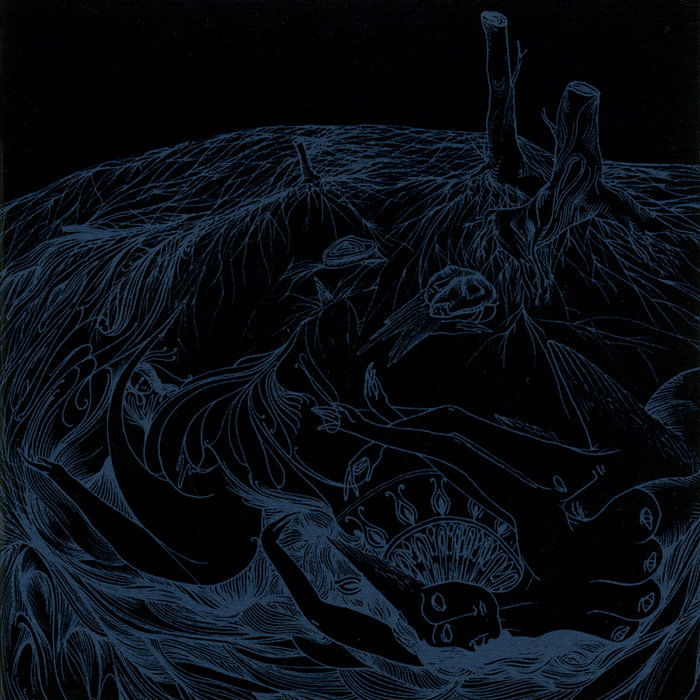 Il n'y a plus de fleurs au jardin des hommes | Héliodrome