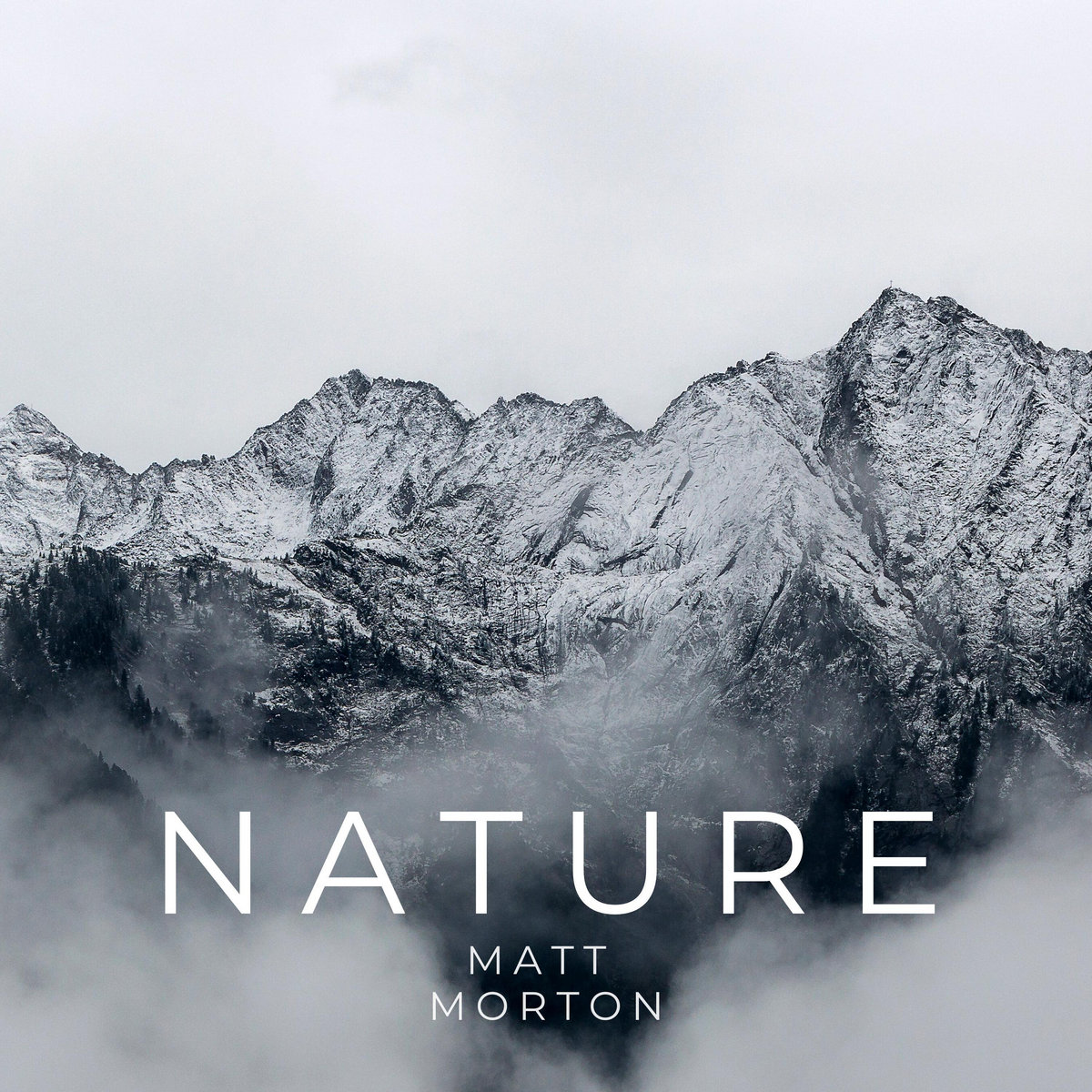 Nature | Matt Morton