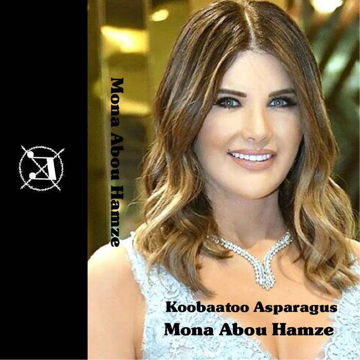 Mona Abou Hamze