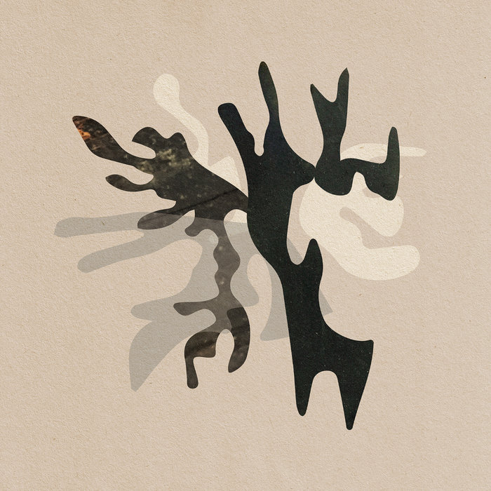 Crypsis | David Tagg