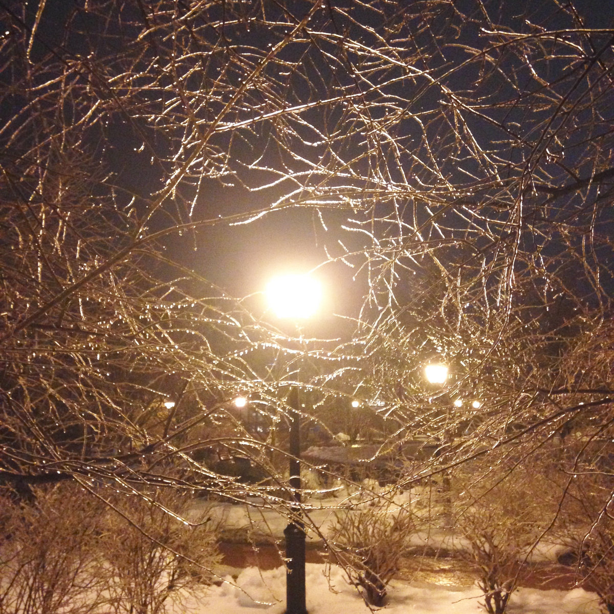 There Will Be Robins | Ryan Nylander